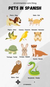 The Ultimate Vocabulary Guide about Pets in Spanish - Strømmen Language ...