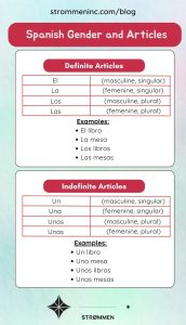 Spanish Gender and Articles: An Essential Guide - Strømmen Language Classes